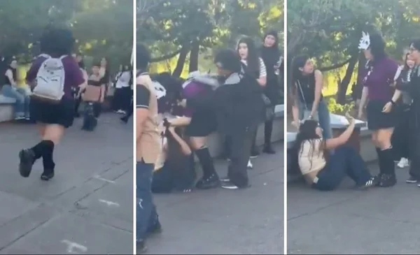 Viral en TikTok: joven “therian” ataca a otra chica que la grababa en ...