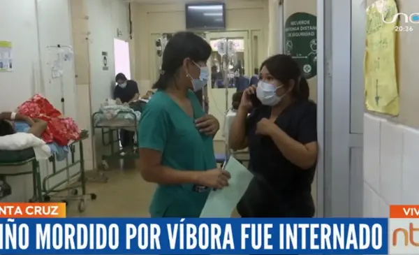 Un niño fue mordido por una víbora cuando jugaba en el parque| Red Uno ...