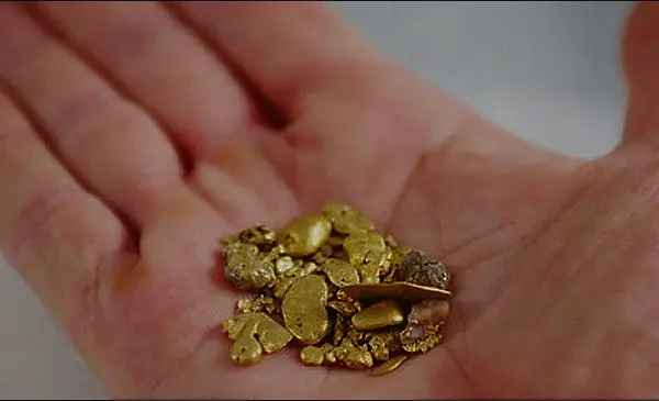 "Le ofrecieron pepitas de oro": Estafaron 4 mil dólares a una abuelita ...