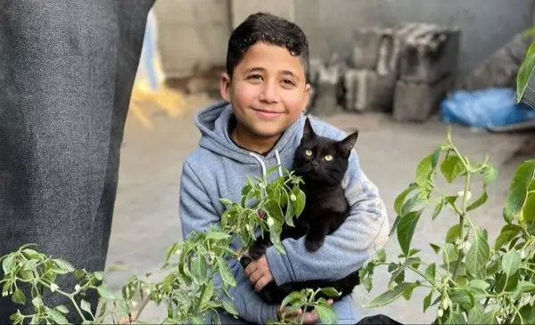 Esperanza entre escombros: la historia del pequeño Ahmed y su gatito ...