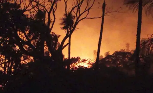 Roboré al borde del desastre: Incendios forestales ya consumieron más ...