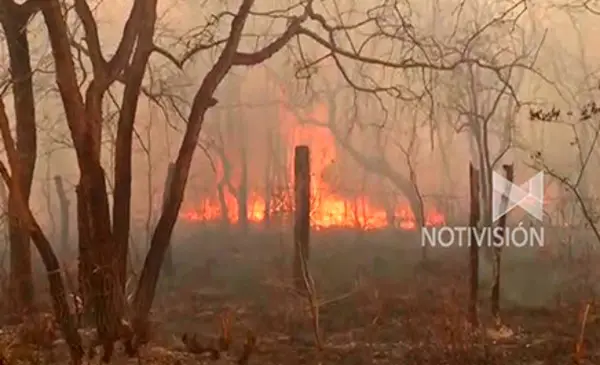 Incendios forestales no ceden en siete comunidades de Roboré| Red Uno ...