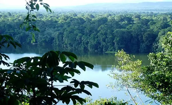 Avistan un grupo de indígenas aislados en el parque Madidi| Red Uno de ...