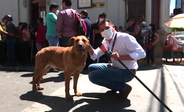 “Mañazo” el can que acompaña las movilizaciones| Red Uno de Bolivia