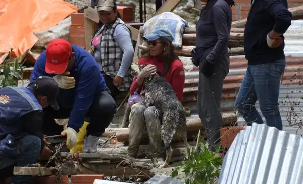 Bajo Llojeta: Lograron rescatar con vida a 8 perritos y un gatito | Red ...