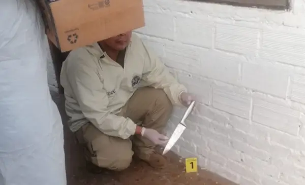 20 años de cárcel para la mujer que apuñaló y mató a su tío | Red Uno ...