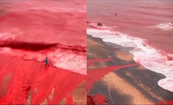 El mar se volvió rojo: fenómeno natural asombra a turistas en la isla ...